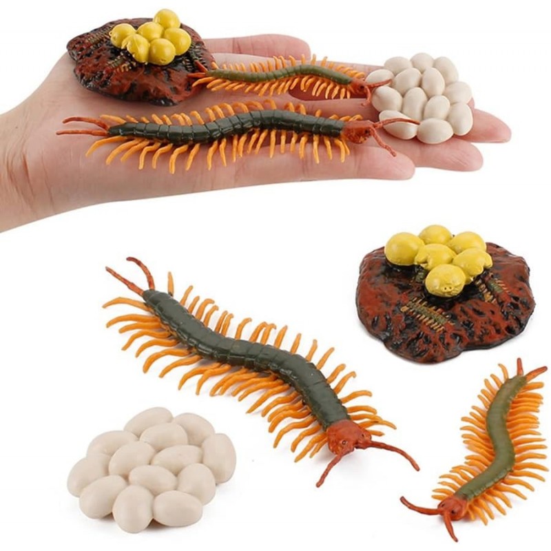 Centipede Cycle Figurines