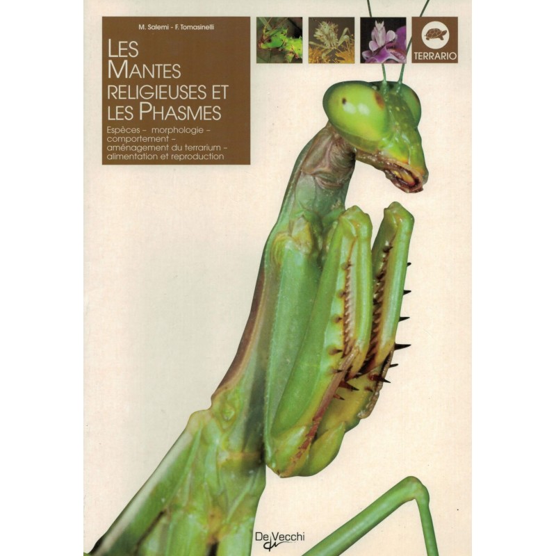 Praying mantises and stick insects